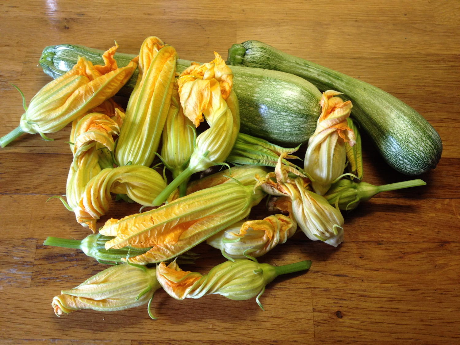 Flor de carbassó farcida | Llepadits