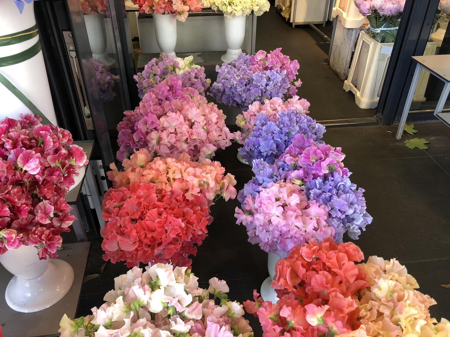 Crema de tavelles de pèsols amb pèsols i oli d'alfàbrega | Llepadits